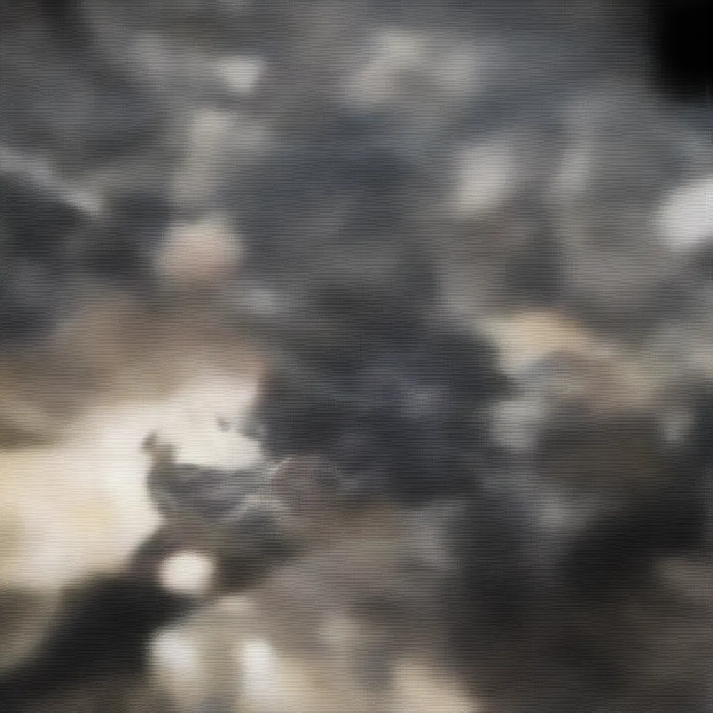 Comprehensive Security Assessment Steps for Enhanced Protection